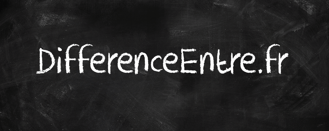 Différence entre homard et langouste - DifferenceEntre.fr